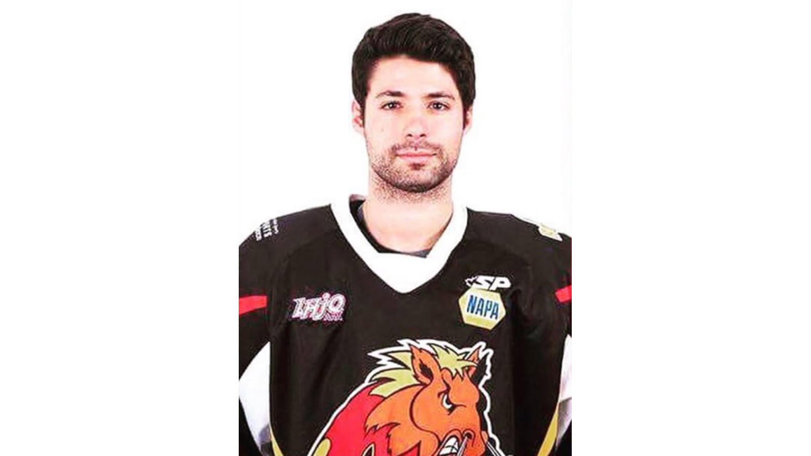 Les droits de Jean-Philippe Robert appartiennent au Wild