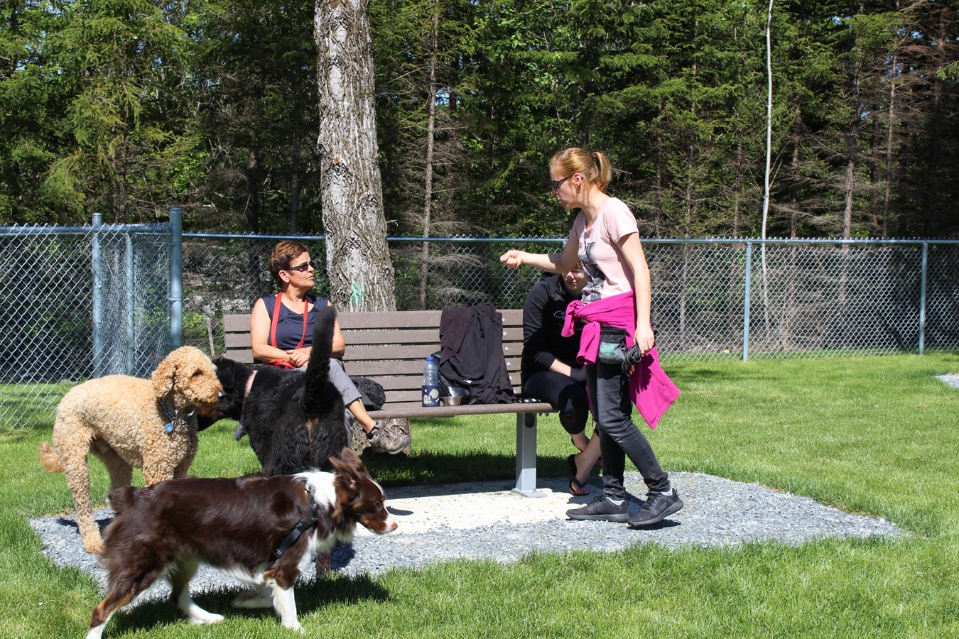Un parc canin à Windsor pour les amis à quatre pattes